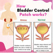Bladder Control Anti-Incontinence Patch – Ellorea